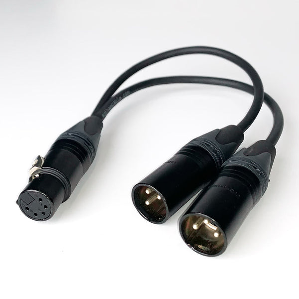 Microphone Y-Adapter Cable XLR5F to XLR3M AC-20 – Microphone-Parts.com